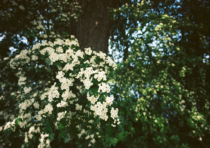 Home - Perceval Press